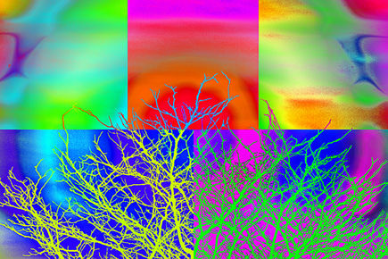 natural squares, by the artist Lieberman | Gallea