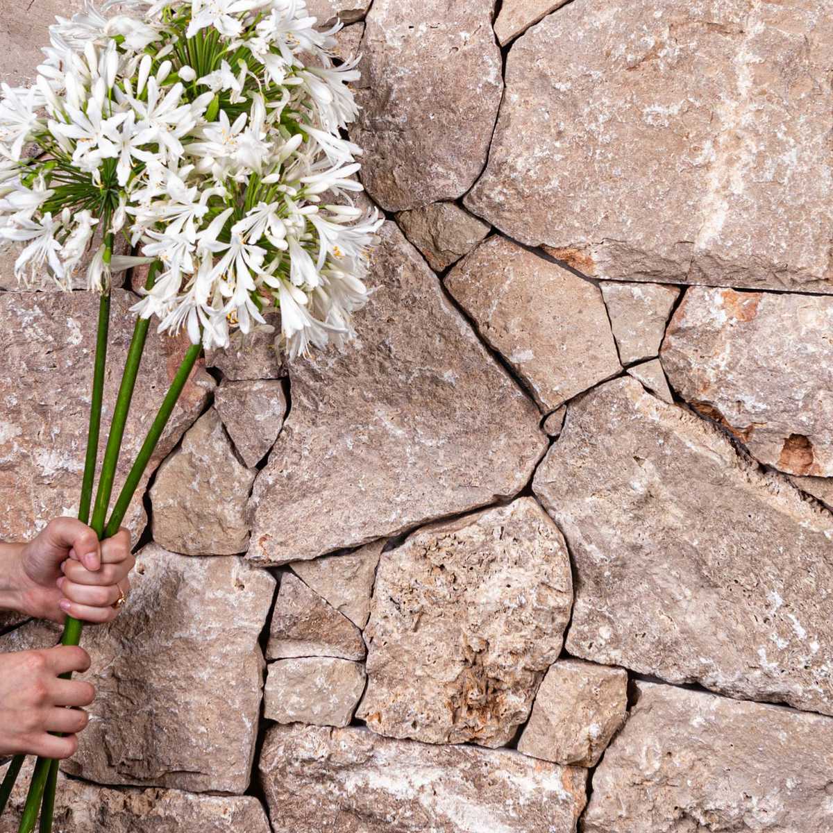 MANUKA Travertine - Walling Natural Lay - Split | Gather Co