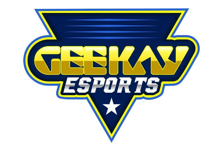 Geekay announces Esports division - Gadgets Middle East