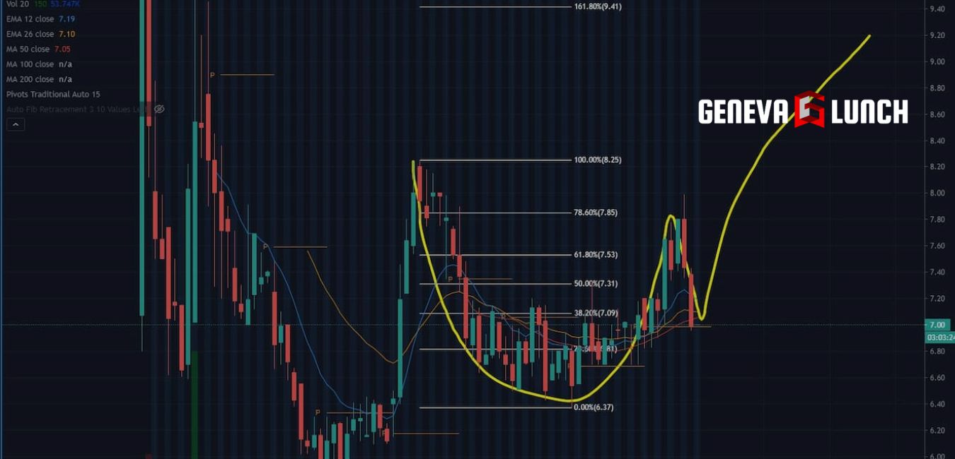 Reasons To Invest In VVOS Stock For The Long Term - Geneva Lunch