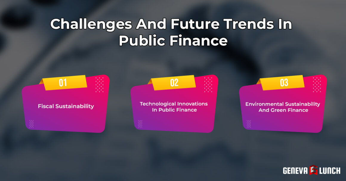 What Is Public Finance? Principles, Revenue Sources, Debt - Geneva Lunch