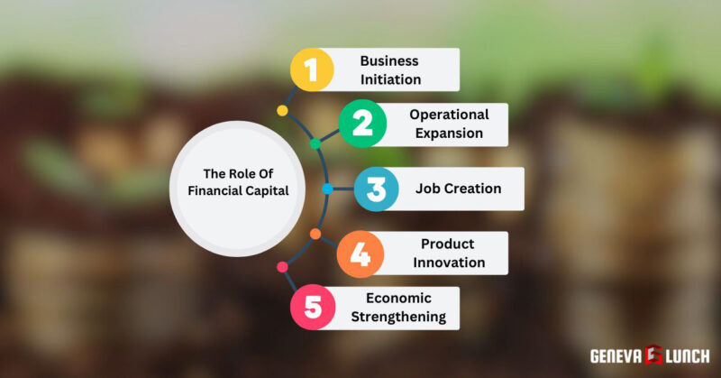 Financial Capital: Types, Sources And Examples - Geneva Lunch