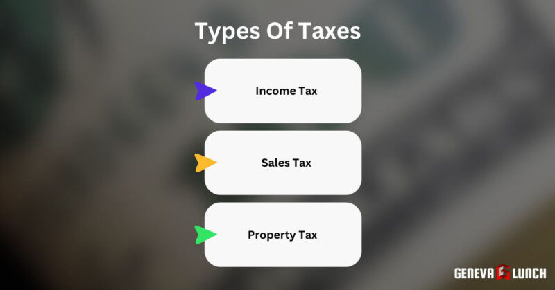 What Is Public Finance? Principles, Revenue Sources, Debt - Geneva Lunch