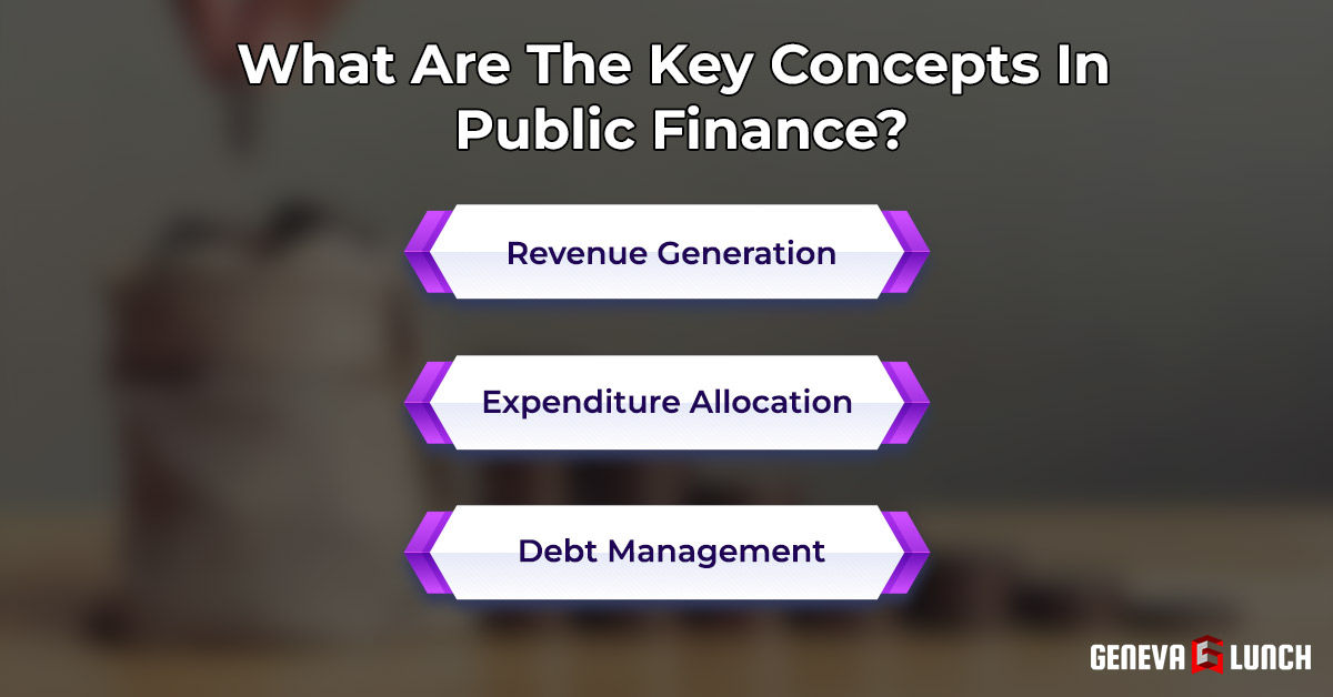 What Is Public Finance? Principles, Revenue Sources, Debt - Geneva Lunch