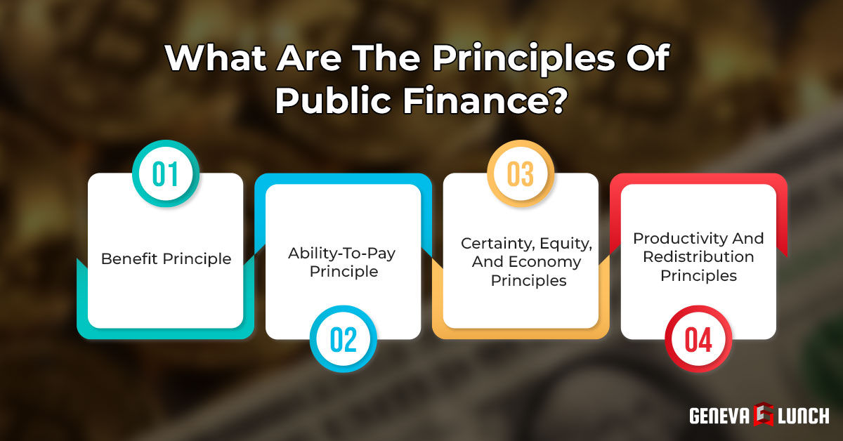 What Is Public Finance? Principles, Revenue Sources, Debt - Geneva Lunch