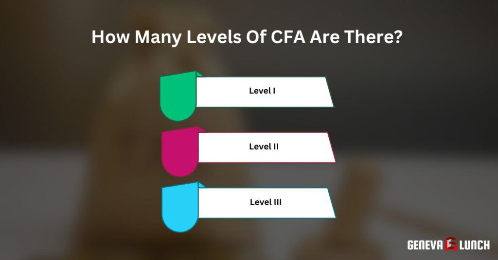 Chartered Financial Analyst (CFA): Career Paths & Exams - Geneva Lunch