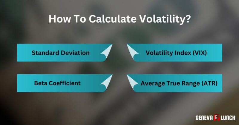 Volatility: Types, Influencing Factors & How To Calculate - Geneva Lunch