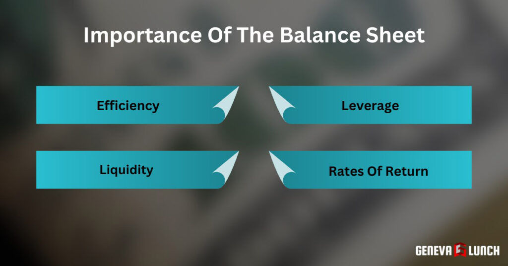 Balance Sheet: How To Prepare, Components, And Examples - Geneva Lunch