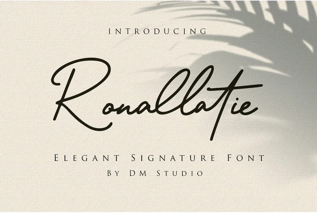 30 Opulent Wedding Fonts for Remarkable Invitation Designs - DM Letter ...
