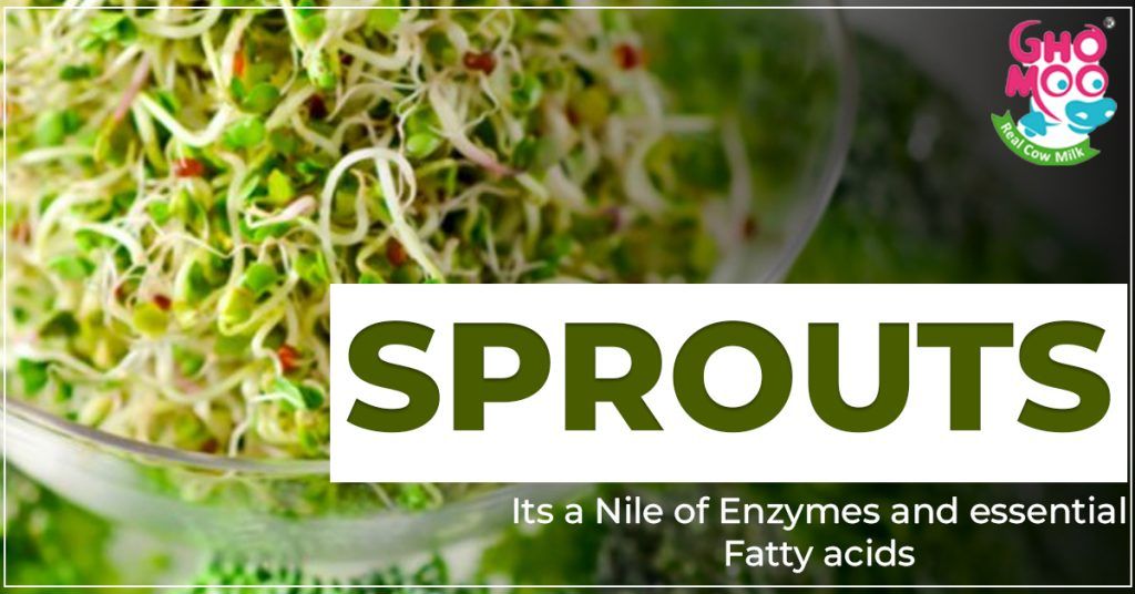 Sprouts - It's a Nile of Enzymes and Essential Fatty Acids - Ghomoo