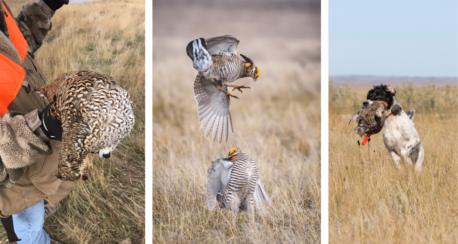 Turkey Hunting in Southeast South Dakota