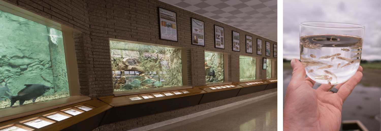 Free Fun: Adventure & Beauty in Southeast South Dakota