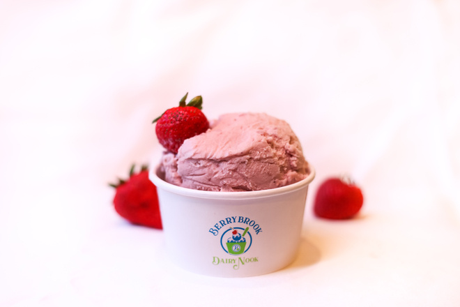 Ice cream - Tourism Photo Album By Berrybrook Organics & Berrybrook ...