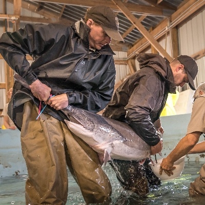 Gavins Point National Fish Hatchery: General Membership in Yankton ...