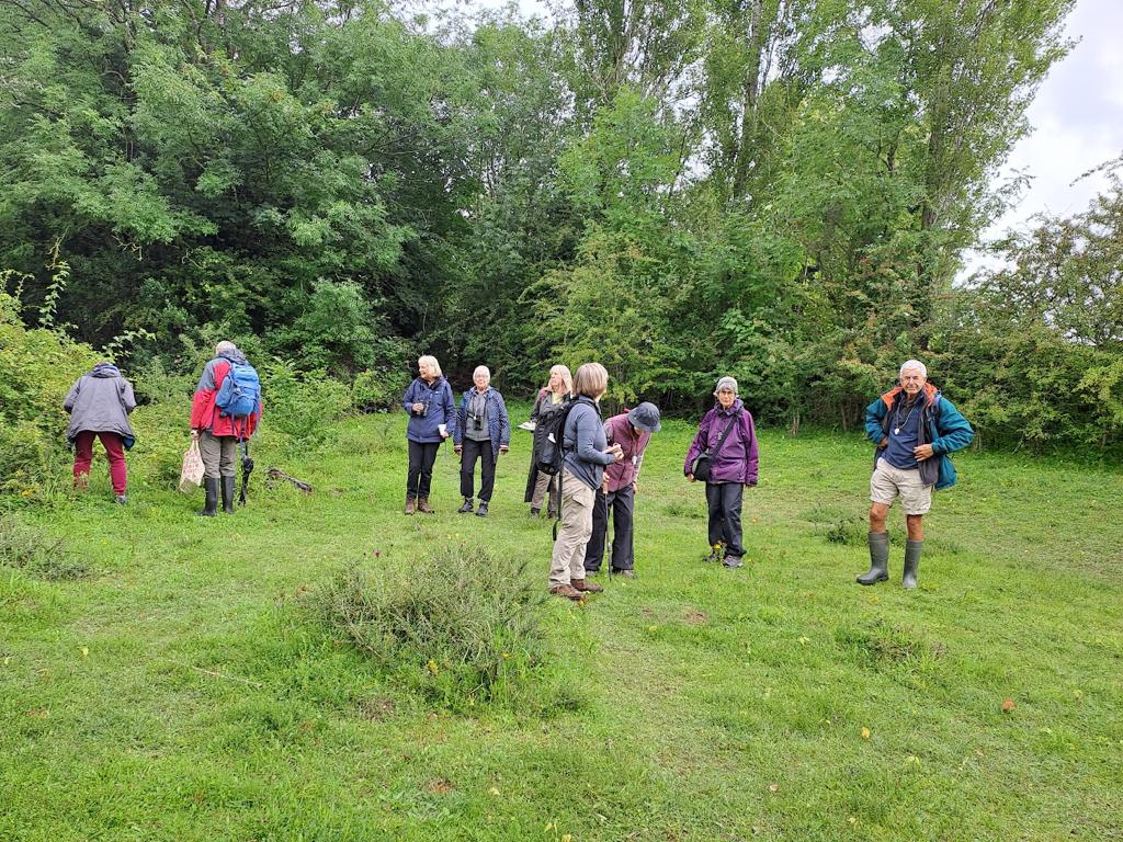 Quarry Moor, Ripon - Harrogate & District Naturalists Society