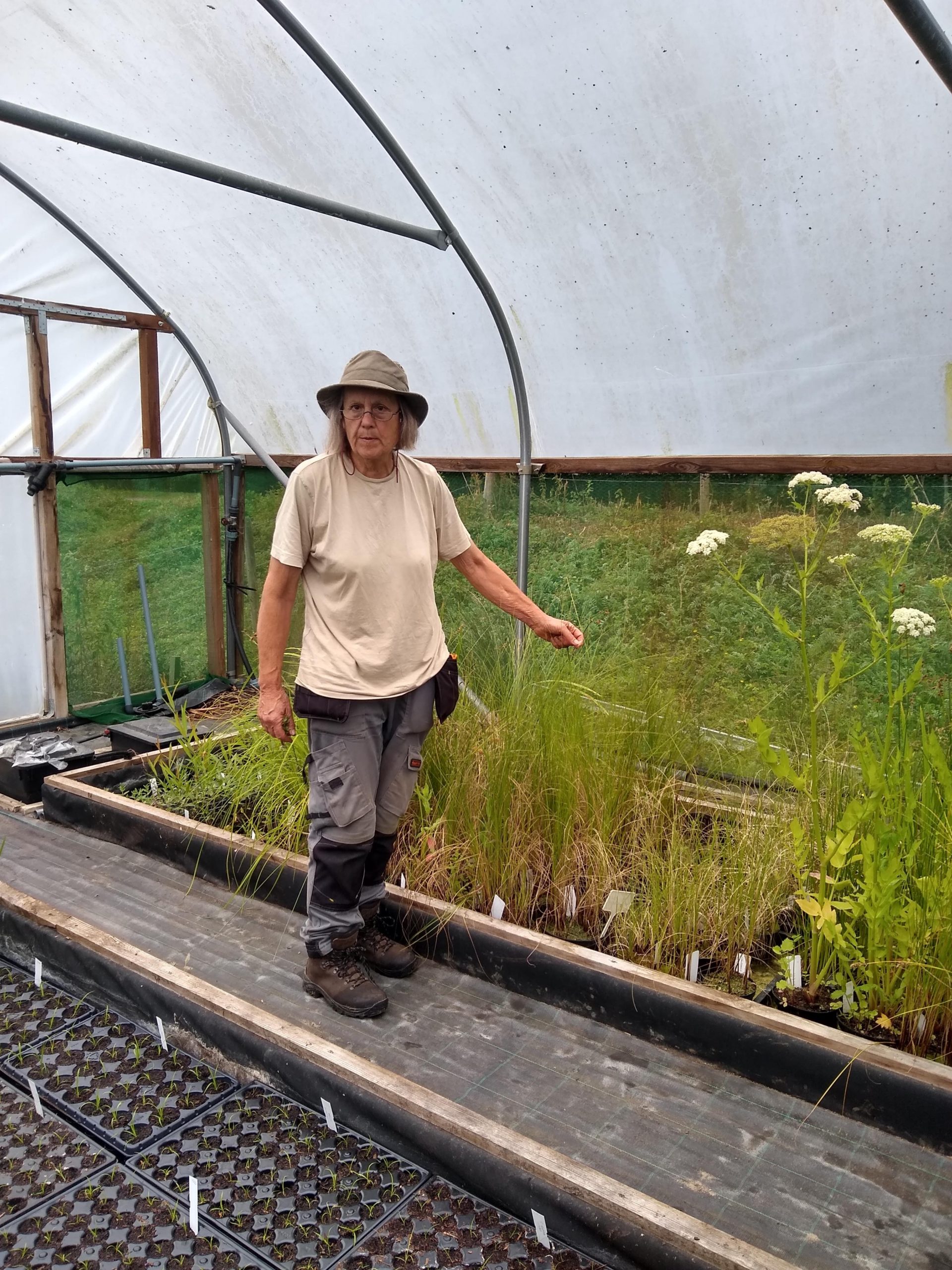Aquatic Nursery, Nosterfield - Harrogate & District Naturalists Society