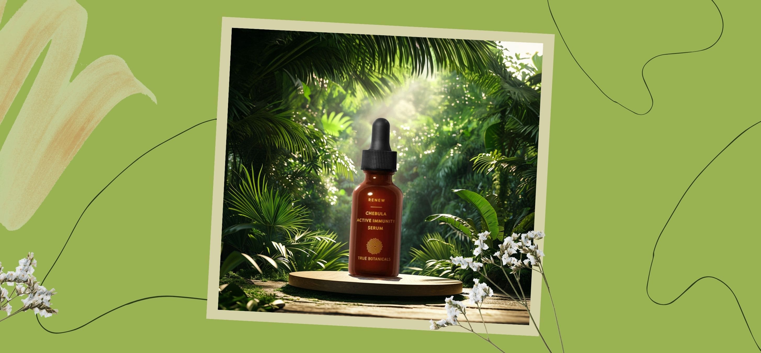 Chebula Benefits & Risks: A Complete Guide