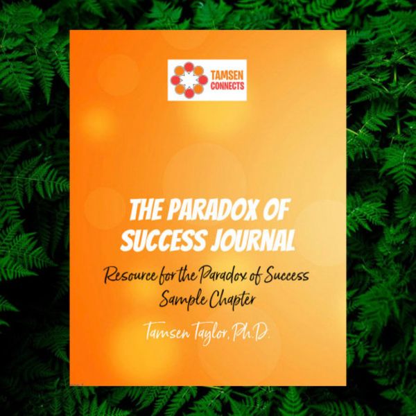 The Paradox of Success | Tamsen Connects
