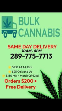 Bulk Cannabis, Hamilton - Weed Delivery Online