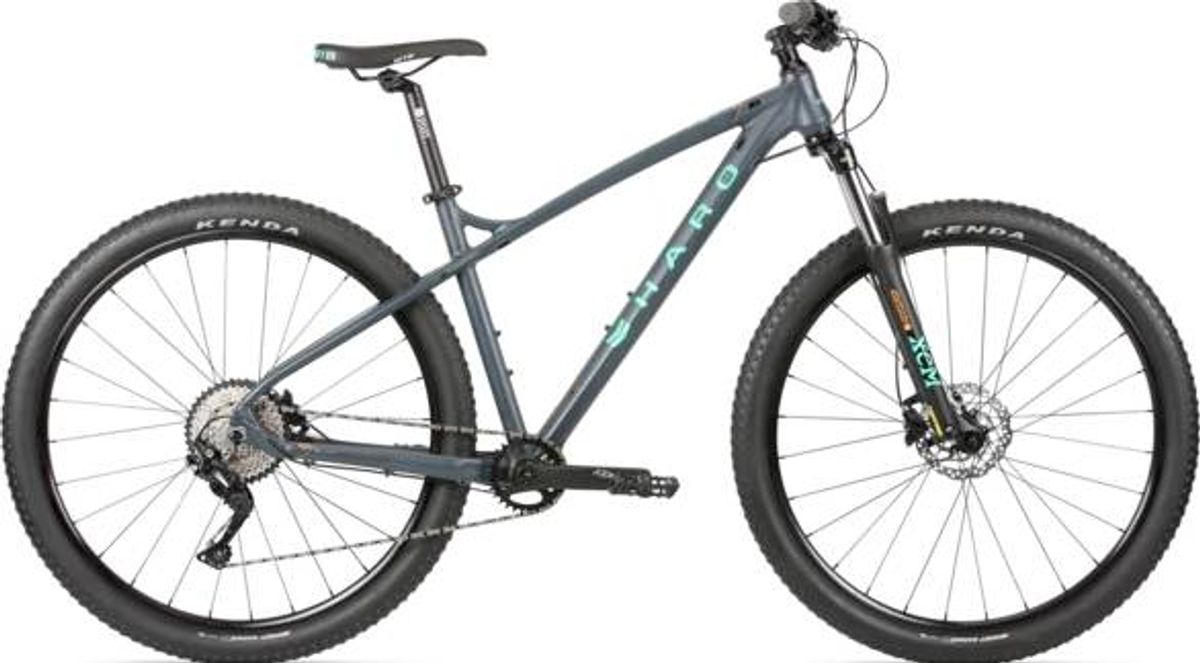 Haro Double Peak 29 Comp 2020 | GoBikes