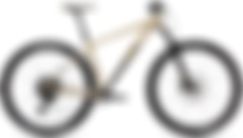 Orbea LAUFEY H30 2020 vs CUBE REACTION TM 2021 | BikeWise