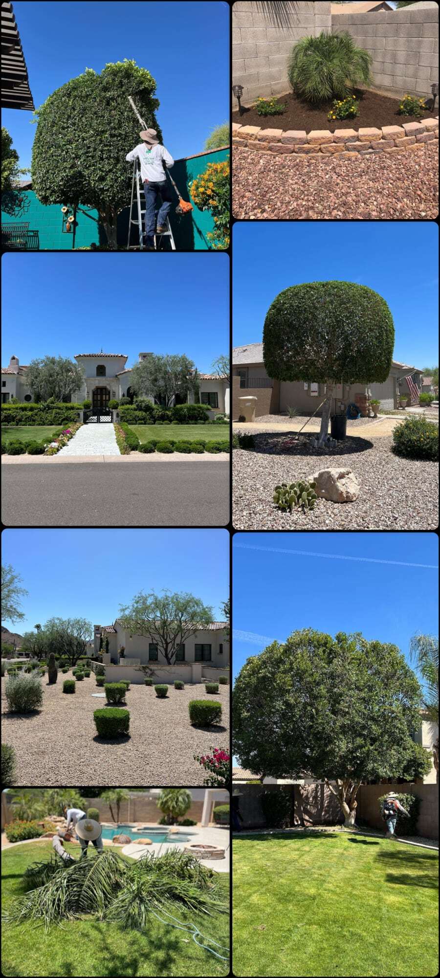 Arizona Tree & Landscape LLC - Home Services - Small Business