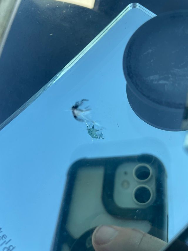 Windshield Rock Chip Repair. (Mobile) - Small Business Products ...