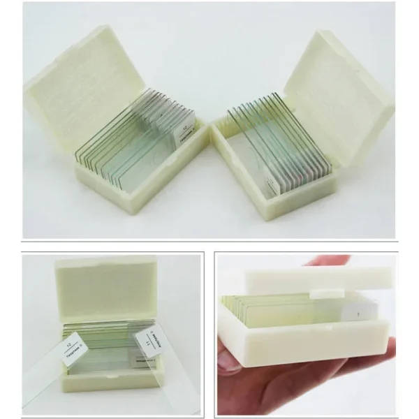 Microscope Prepared Biological Slides: Prepared Microscope Slides Uk ...