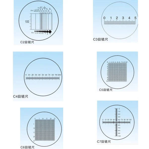 19mm Microscope Calibration Slide: Micrometer Calibration Slide ...