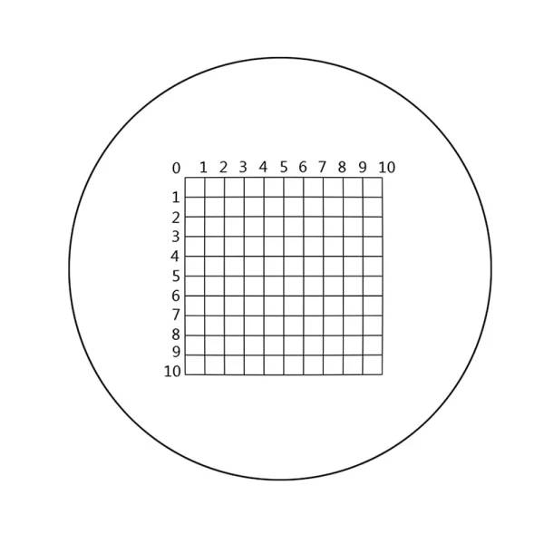 Ocular Micrometer For Microscope Calibration: Microscope And Slides ...