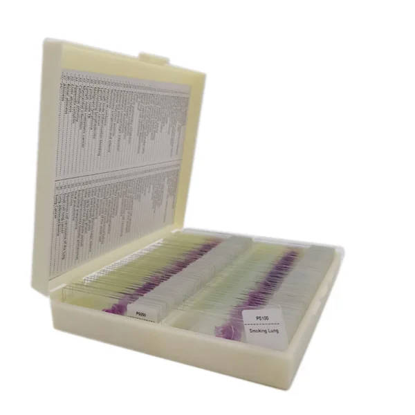 Human Pathology Microscope Prepared Slides Set: Microscope Prepared ...