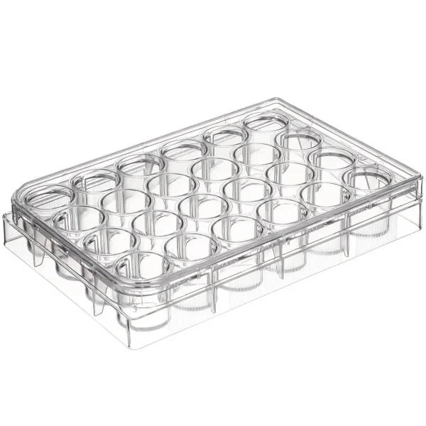 24-Well Cell Culture Plate: 24 Well Plate | Cell Culture Plate | Tissue ...