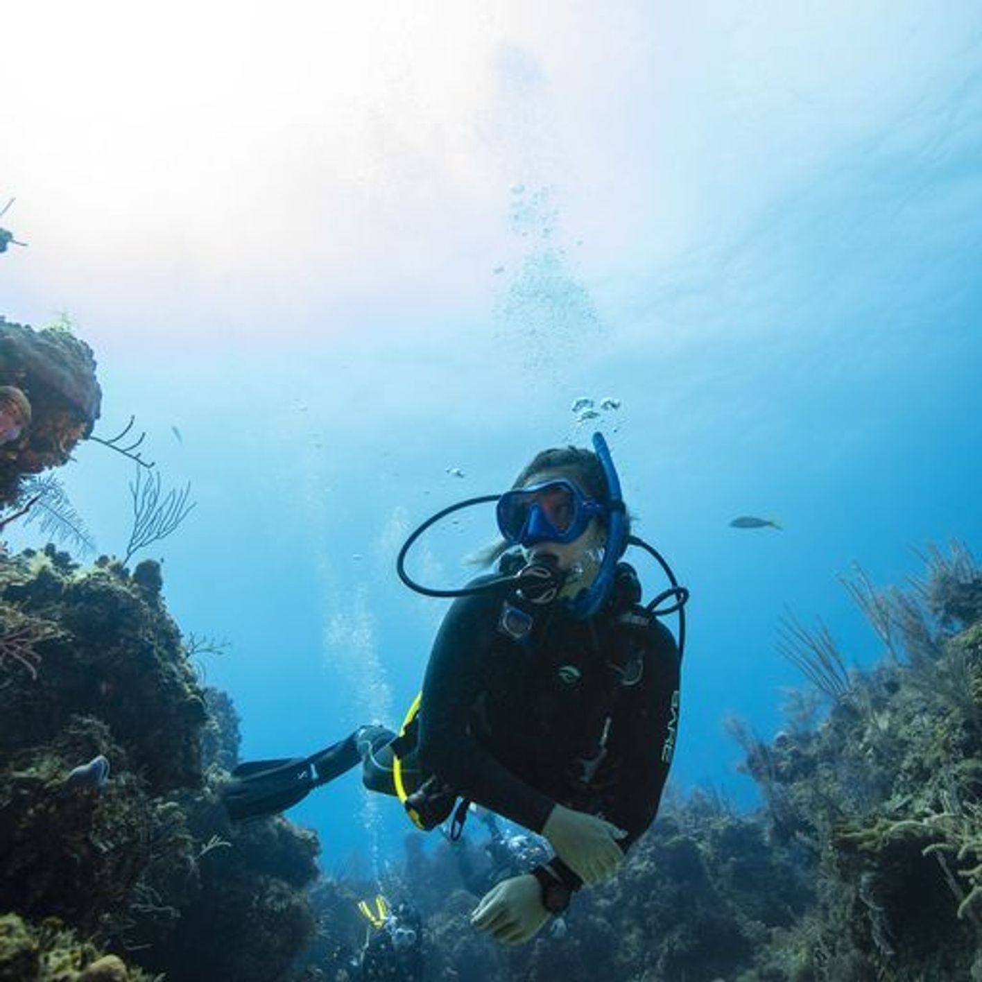 The Top Rated Diving Excursions In Grenada - Dive Grenada