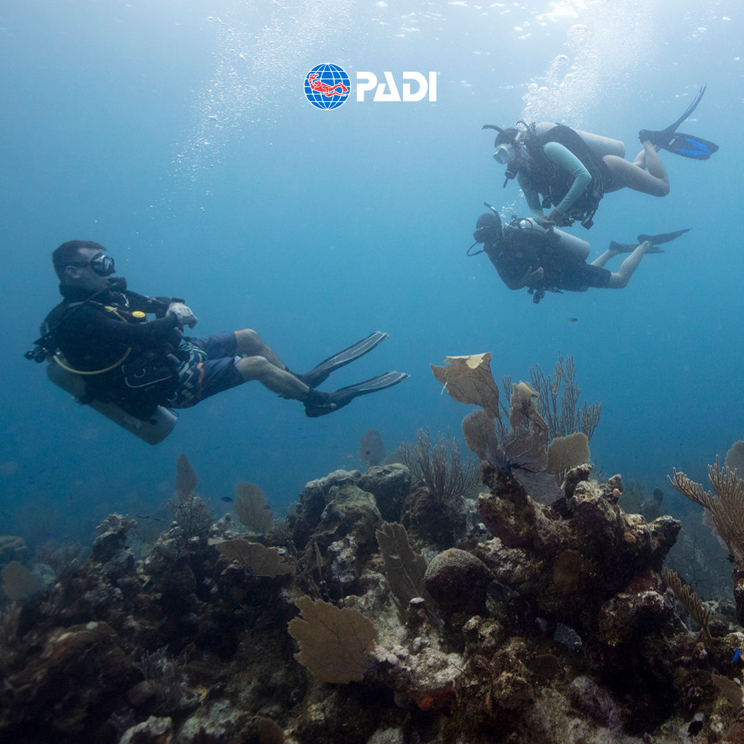 Dive Refresher - Dive Grenada