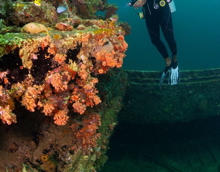 6 Dive Package - Dive Grenada