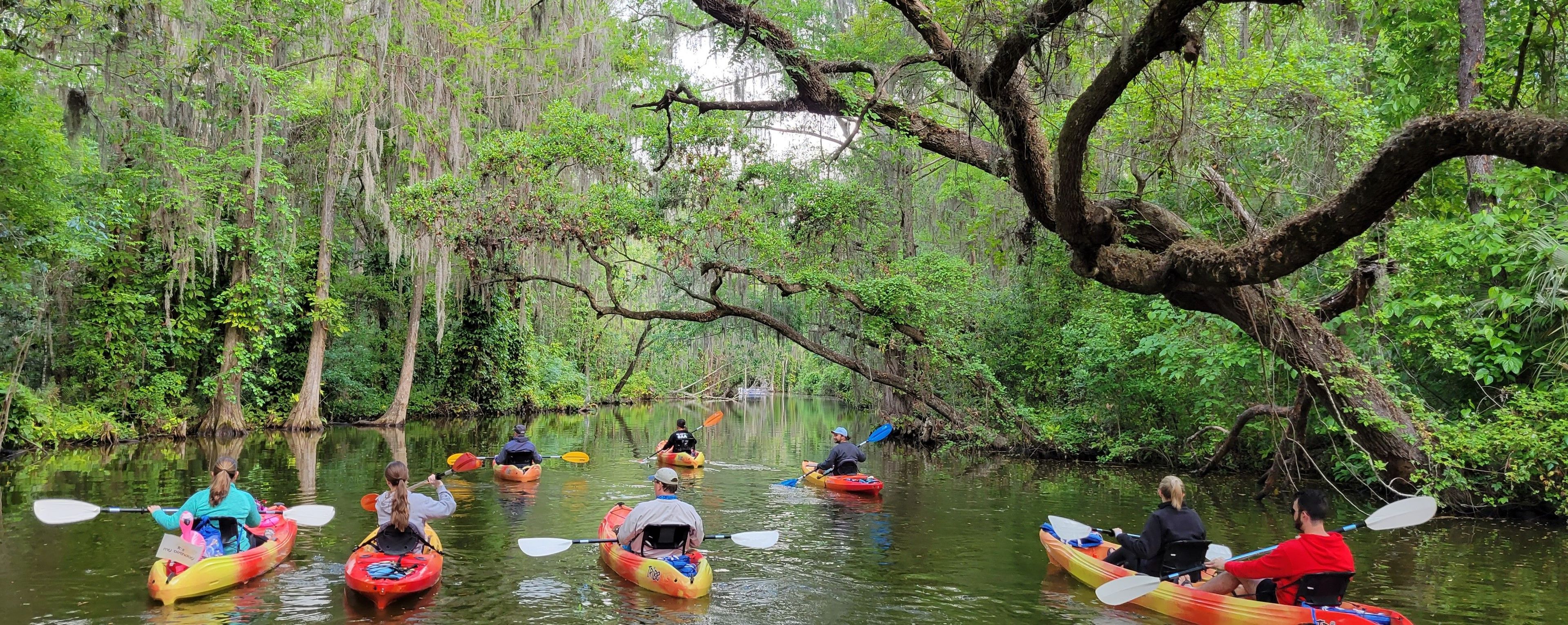 Guided Kayak Tours, Kayak & Paddle Board Rentals | Dora Canal, Florida