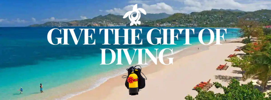 The Top Rated Diving Excursions In Grenada - Dive Grenada