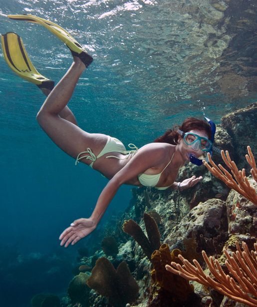 Grenada Snorkelling Trip (1 Site) - Dive Grenada