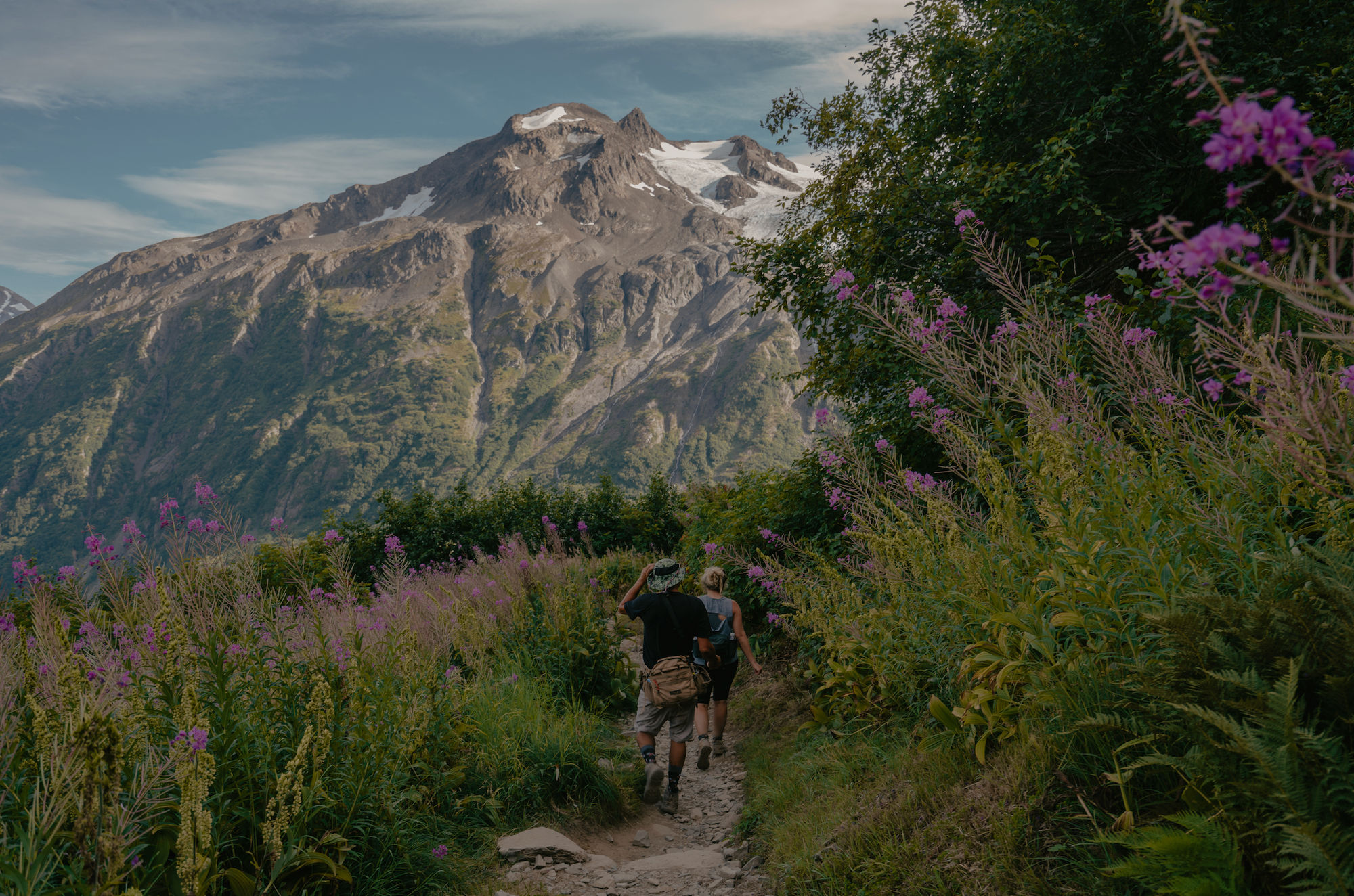 Harding Icefield Hike - Seward Wilderness Collective