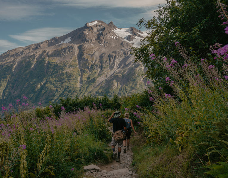 Harding Icefield Hike - Seward Wilderness Collective