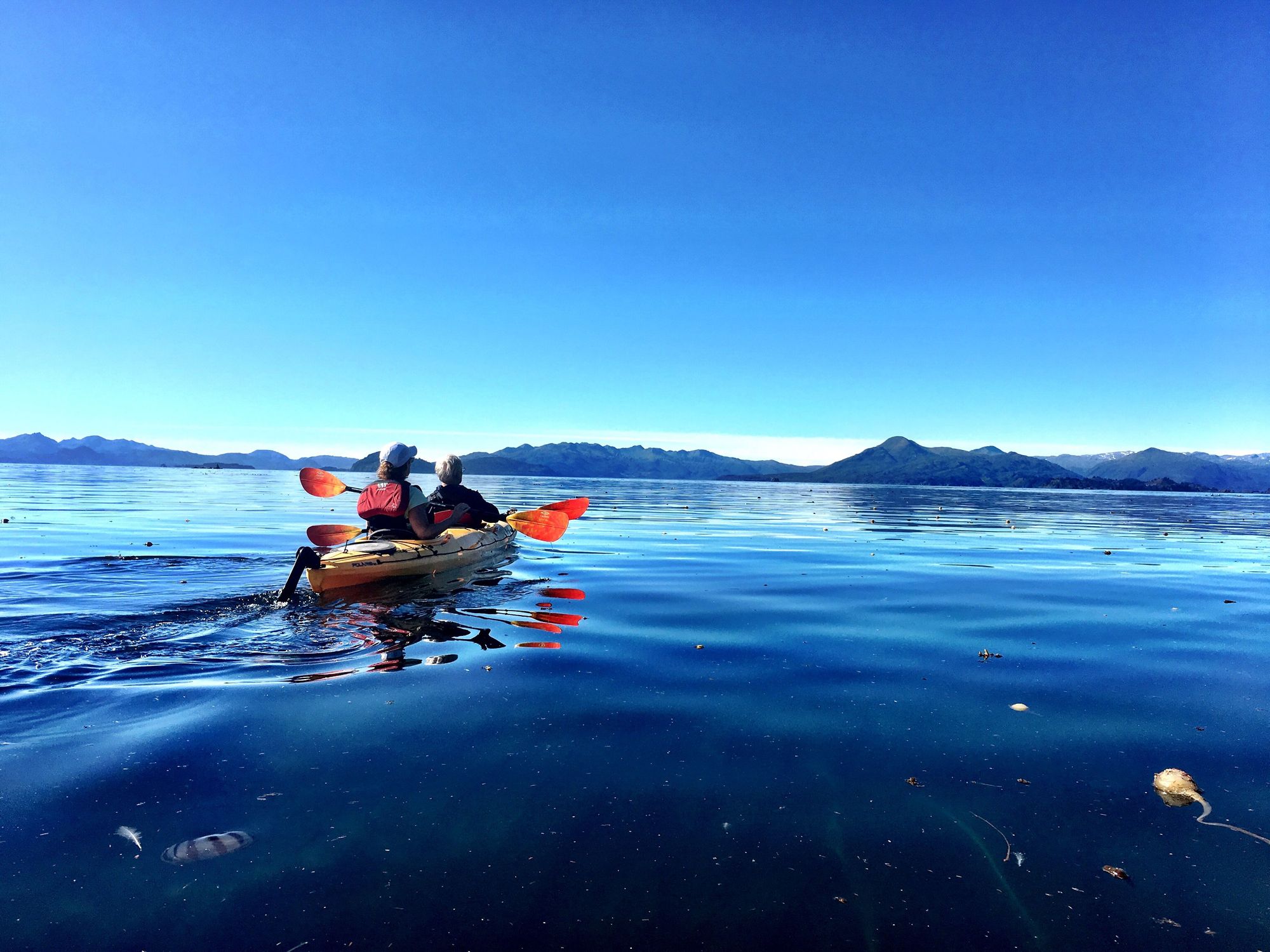 Kodiak Island Kayak Tour - Kayak Kodiak