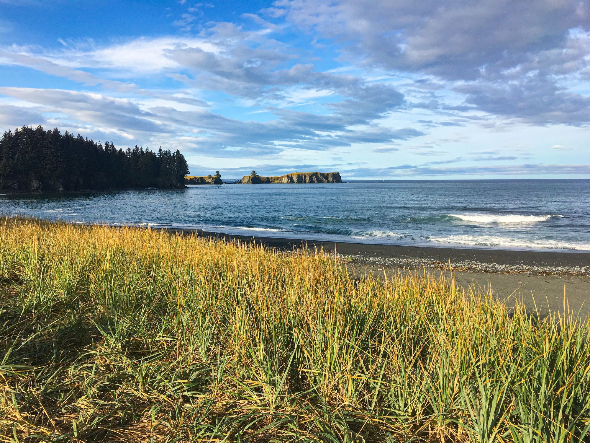 Sea Islands Expedition - Kayak Kodiak
