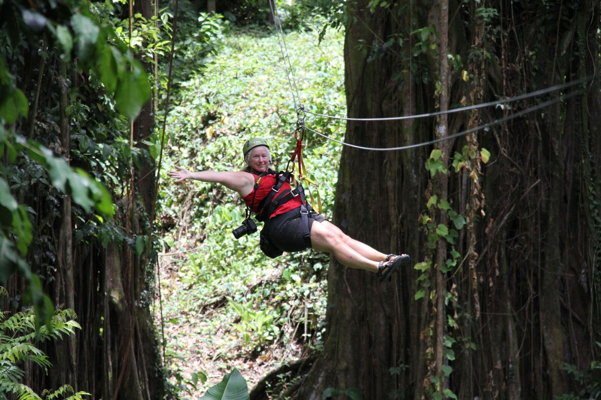 Zip Line Canopy Adventure - Morne Coubaril Estate