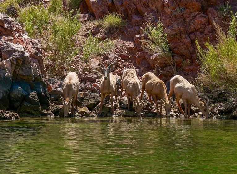 Half-Day Emerald Cave Kayak Tour – 3 Caves & Hoover Dam Relics