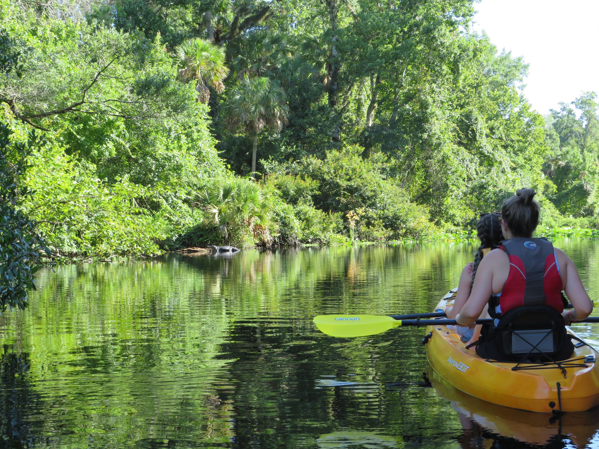 Emerald Cut Kayak Adventure - Venture Outdoors