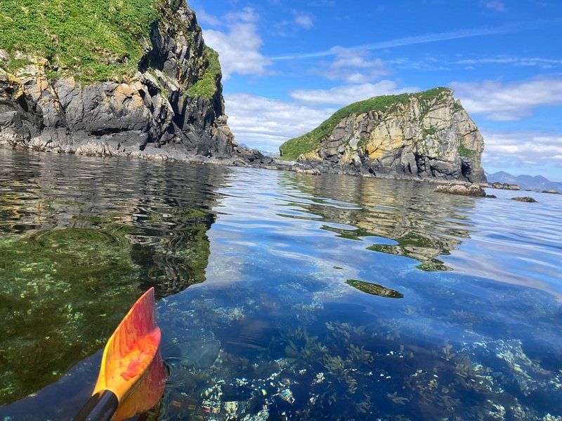 Sea Islands Expedition - Kayak Kodiak