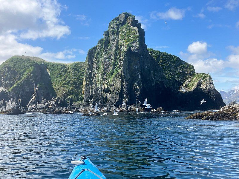 Sea Islands Expedition - Kayak Kodiak