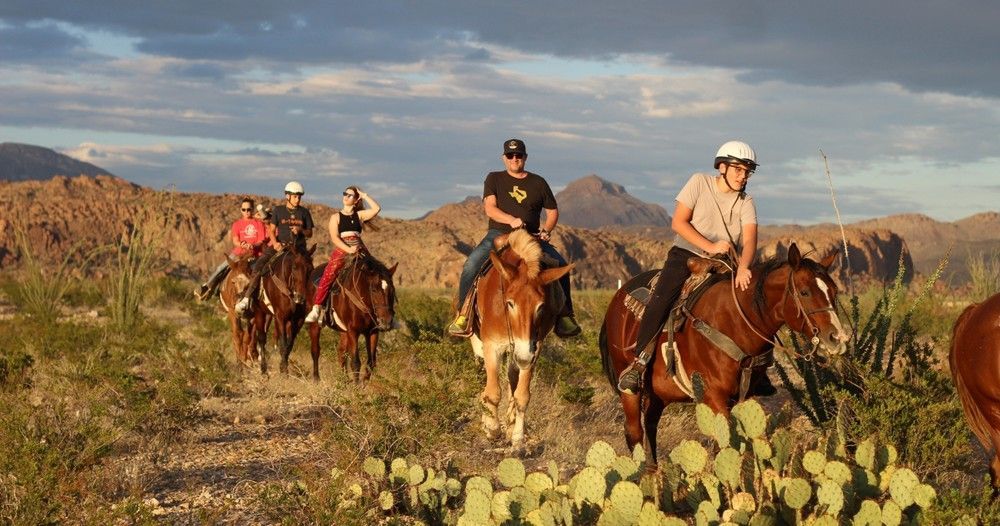 Big Bend Stables – Desert Sunset Ride - Big Bend & Lajitas Stables