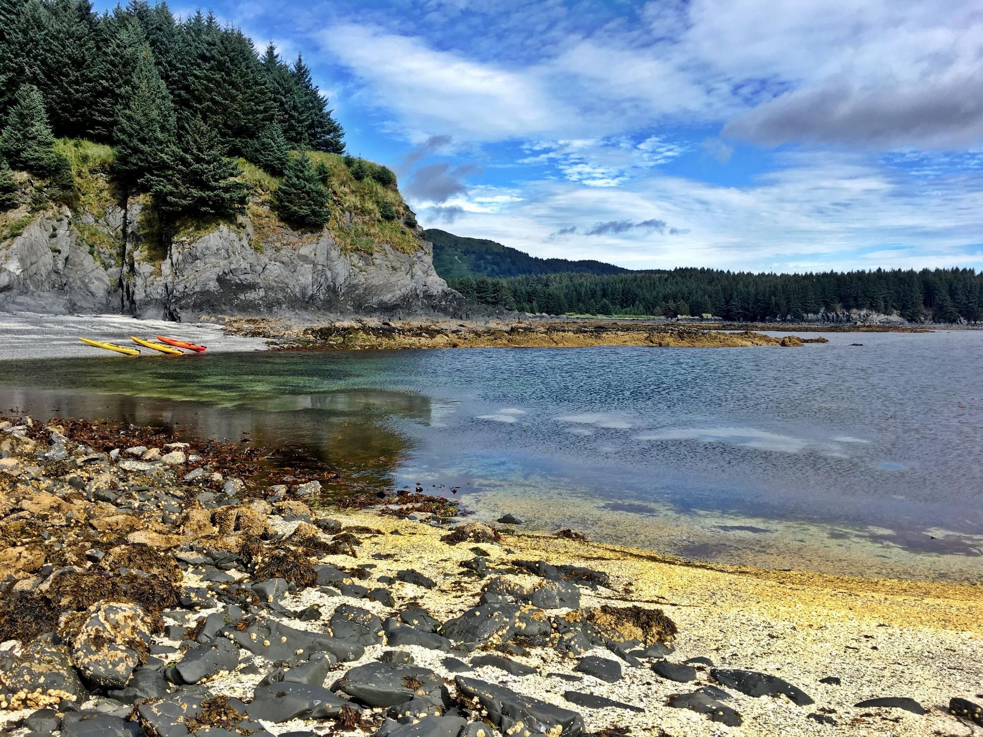 Kodiak Island Kayak Tour - Kayak Kodiak