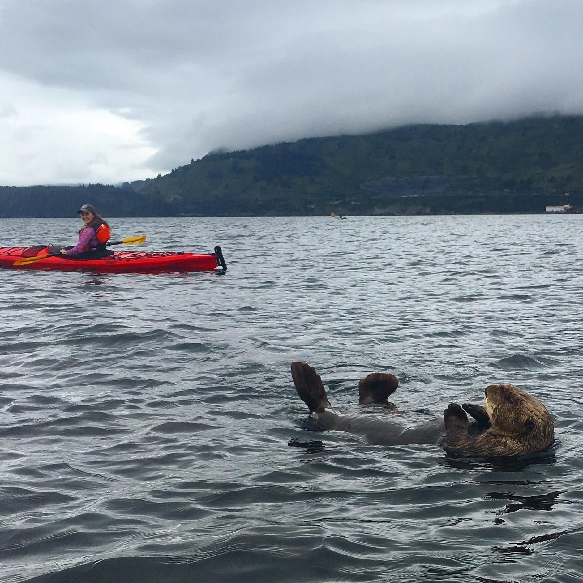 Kodiak Island Kayak Tour - Kayak Kodiak